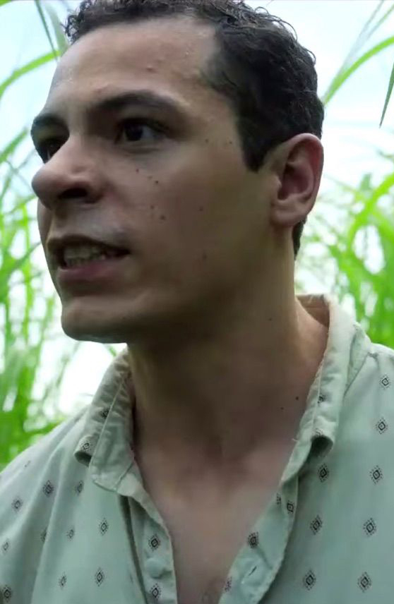 Movie | In The Tall Grass – The Joe Hill Collection
